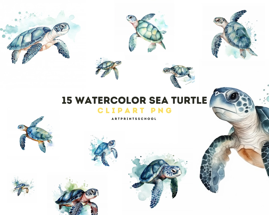 Watercolor Sea Turtle Clipart, 15 Cute Nautical Ocean Animals PNG Clip ...