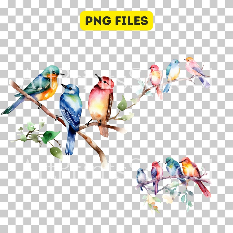 Watercolor Birds Clipart Bundle: Colorful Spring PNG (digital Download ...