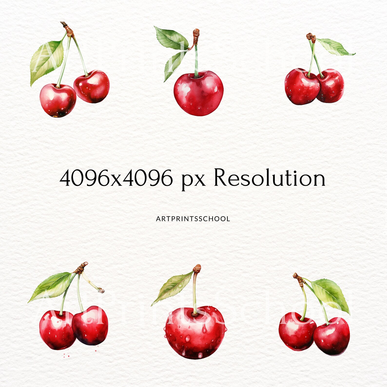 Watercolor Cherry Clipart, 15 High Quality PNG, Commercial Use, Instant ...