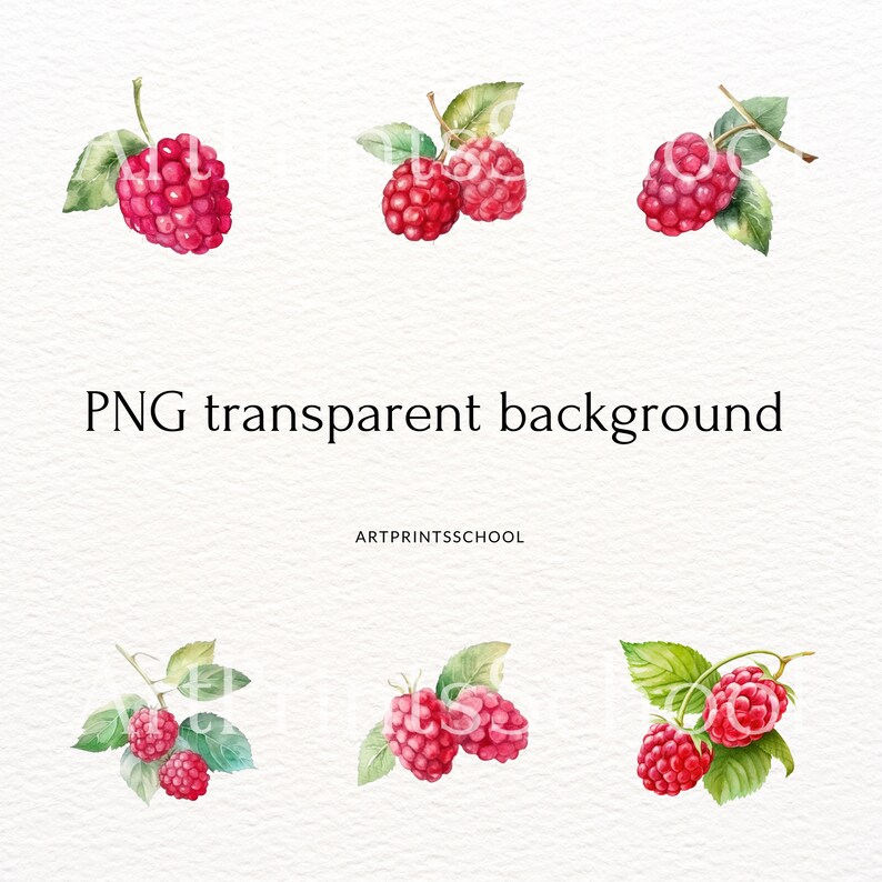 Watercolor Raspberry Clipart: 15 PNG Berry Bundle (digital Download) - Etsy