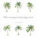 Watercolor Palm Tree Clipart, Beach Clipart, Tropical Clipart Bundle ...