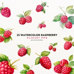 Raspberry Watercolor Clipart, 15 Raspberry PNG Bundle, Berry Cut Files ...