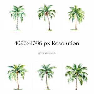 Watercolor Palm Tree Clipart, Beach Clipart, Tropical Clipart Bundle ...