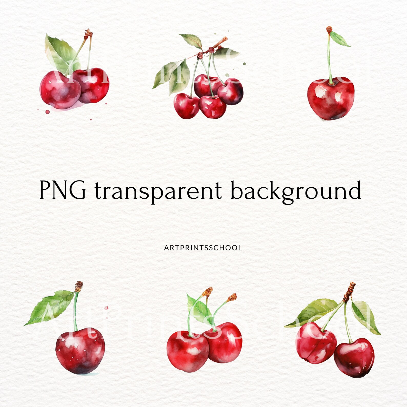 Watercolor Cherry Clipart, 15 High Quality PNG, Commercial Use, Instant ...