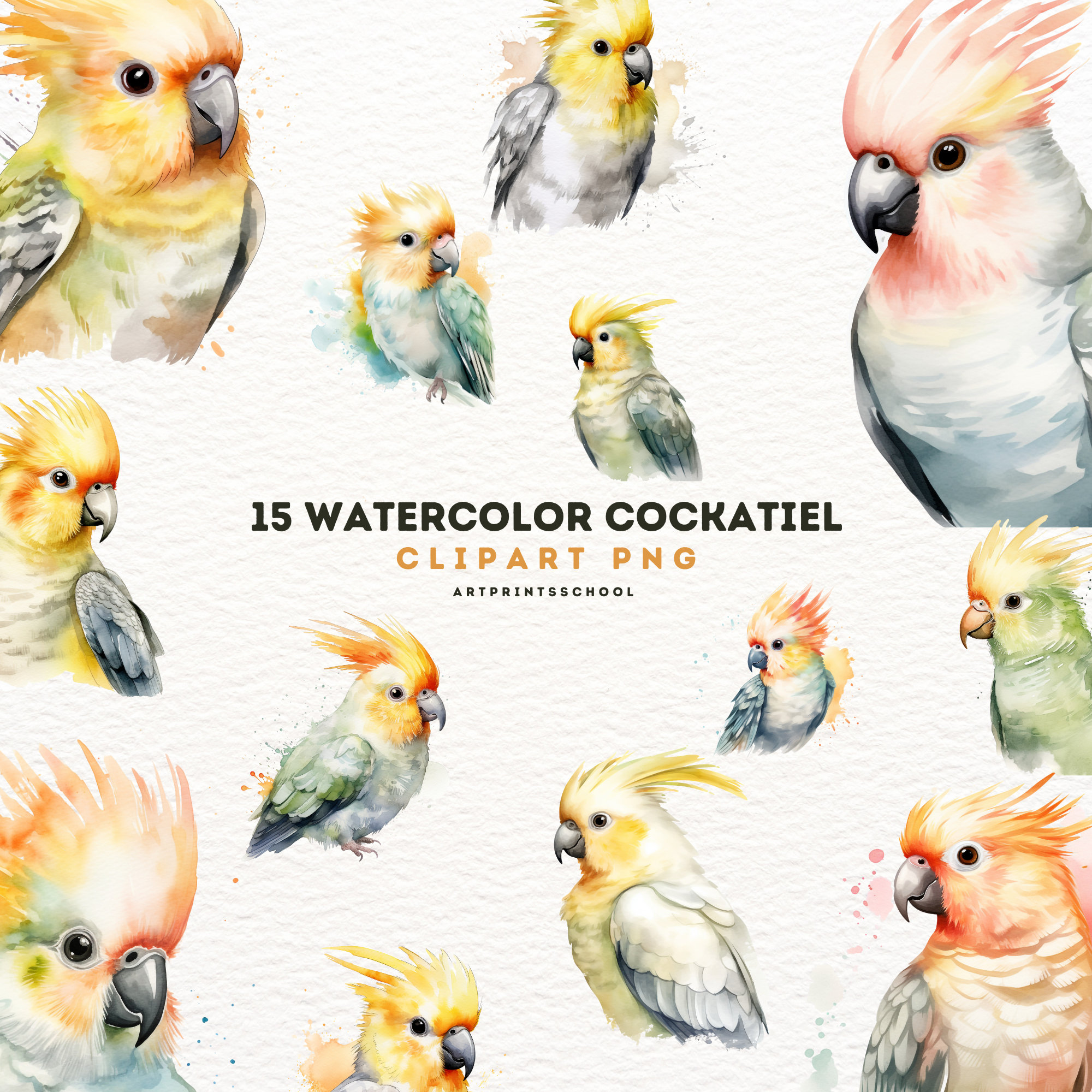 Cockatiel Clipart