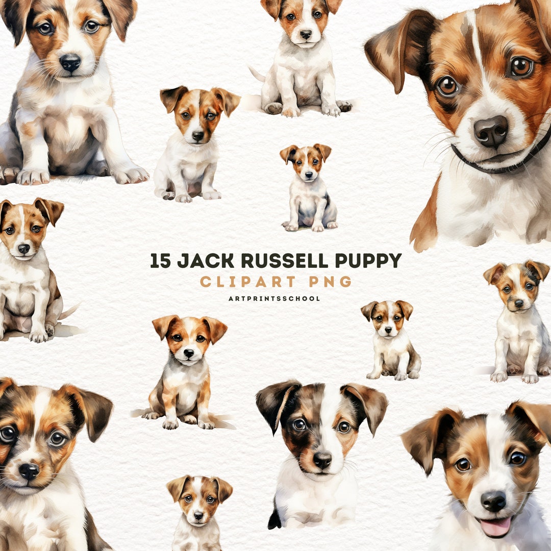 Jack Russell Clipart | 15 Dog PNG | Watercolor Dog Lovers Printable ...