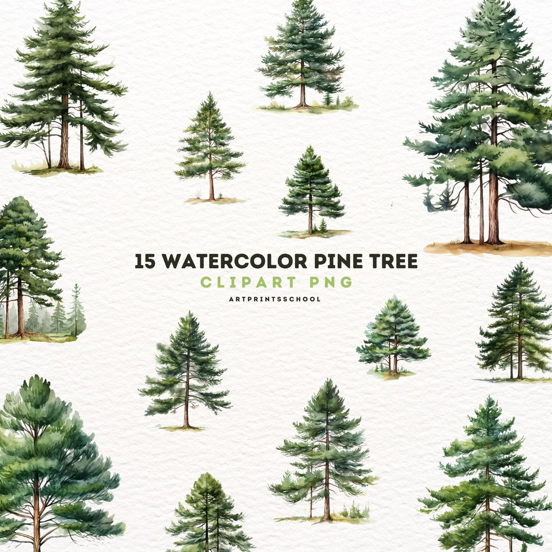 Watercolor Pine Tree Clipart: 15 PNG Forest Landscape Art (digital ...