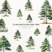 Pine Tree Watercolor Clipart, 15 Beautiful Trees PNG, Landscape Art ...