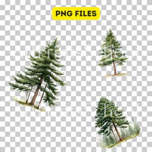 Pine Tree Watercolor Clipart, 15 Beautiful Trees PNG, Landscape Art ...