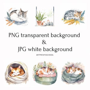 25 Watercolor Sleeping Cat Clipart - Cute Feline Graphics for Crafts ...