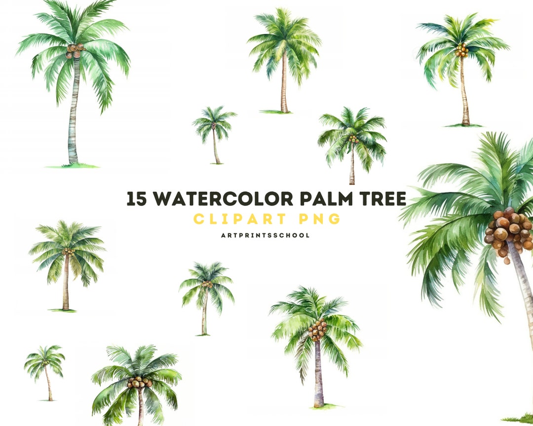 Watercolor Palm Tree Clipart, Beach Clipart, Tropical Clipart Bundle ...