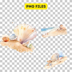 Watercolor Seashells Clipart, Beach Clipart, Nautical Clipart Bundle ...