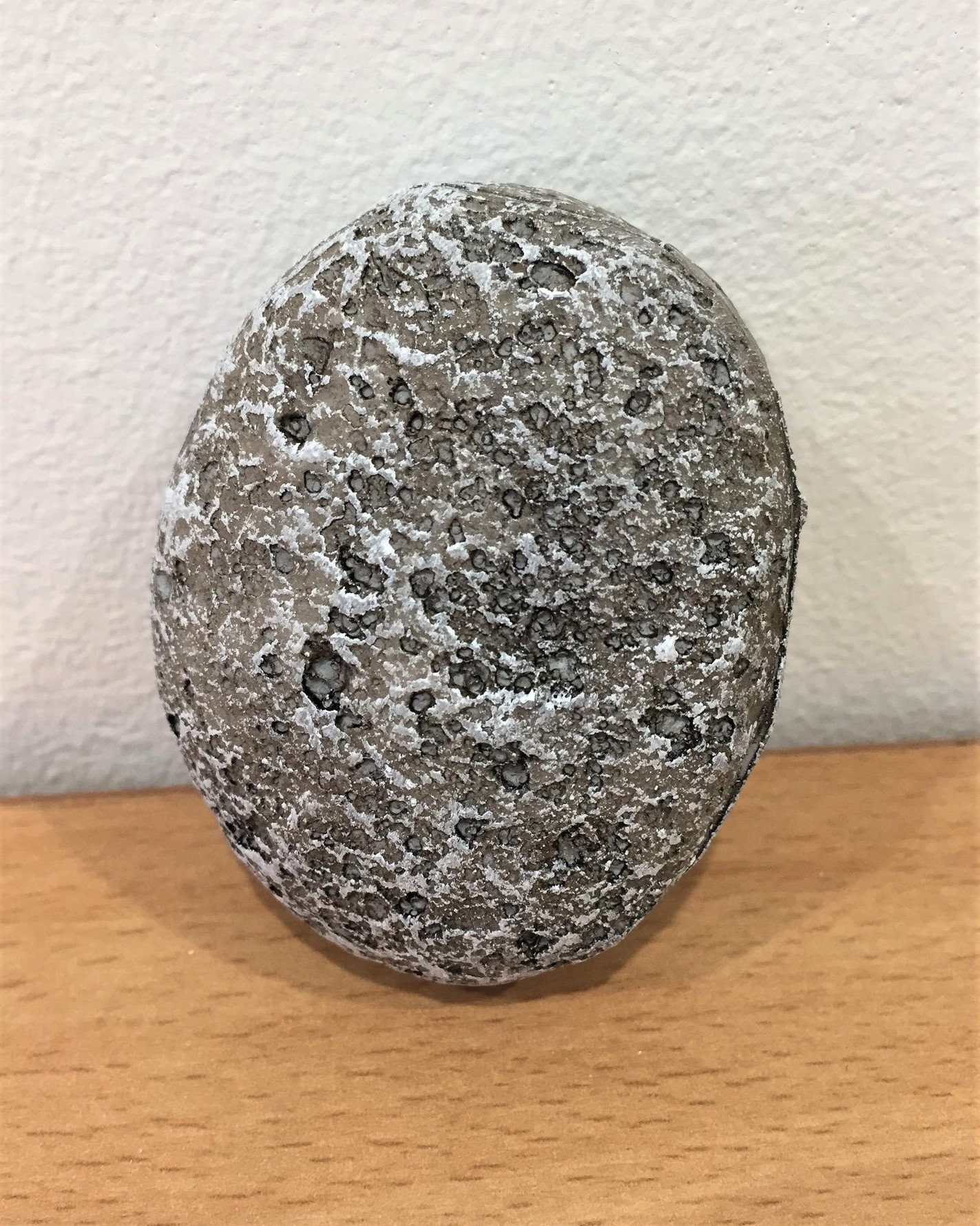 Small Resin Carved Sea Life Stone Pebbles Nautical Beach - Etsy UK