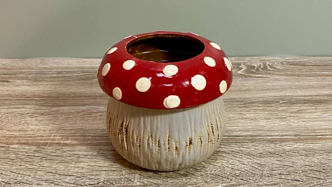 Ceramic Fairy Toadstool Planter Indoor Magical Plant Pot Home Décor ...