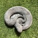 Concrete Snake Figure Sculpture Garden Lawn Ornament / Snake Pet ...