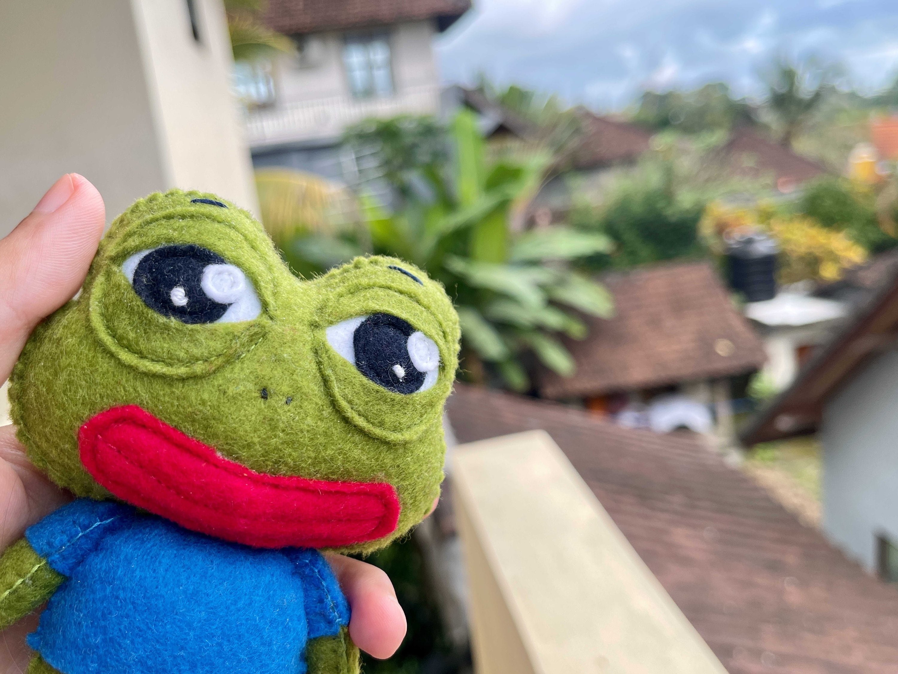 PDF Pepe the Frog Doll Pattern / Felt Easy Sewing Pattern / - Etsy