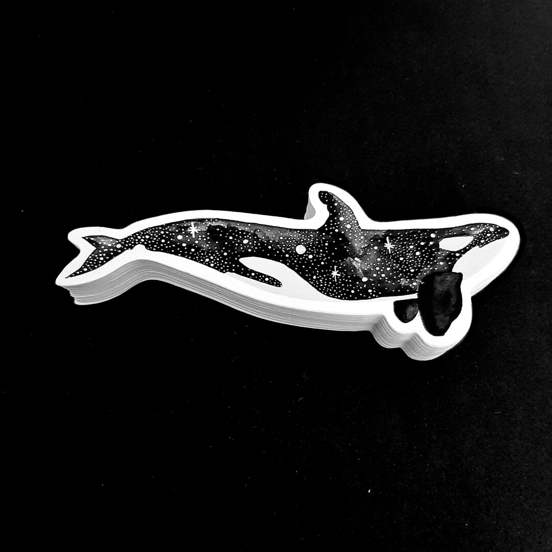 Killer Whale Vinyl Sticker (waterproof) RESTOCK - Etsy