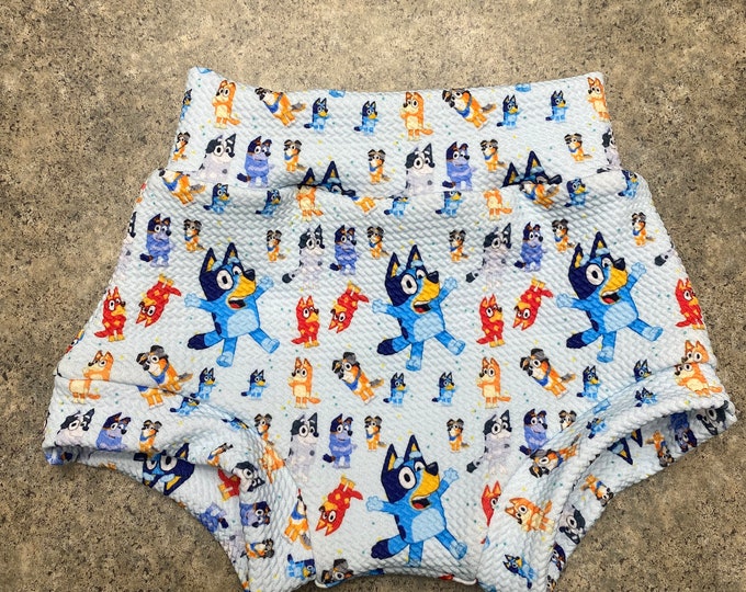 Bluey Bummies Diaper Covers, Bloomers for Babies and Toddlers Various ...