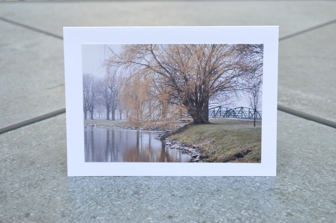 Willow Blank Greeting Card - Etsy