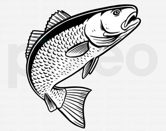 Red Drum Fish Svg File - Etsy