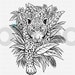 Floral Leopard SVG: Safari Animal Clipart (digital Download) - Etsy