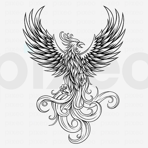 Phoenix Bird Cuttable Design SVG PNG DXF & Eps Designs Cricut - Etsy