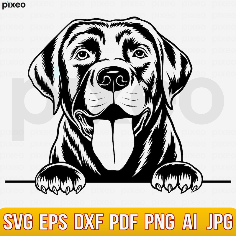 Peeking Lab Svg - Etsy