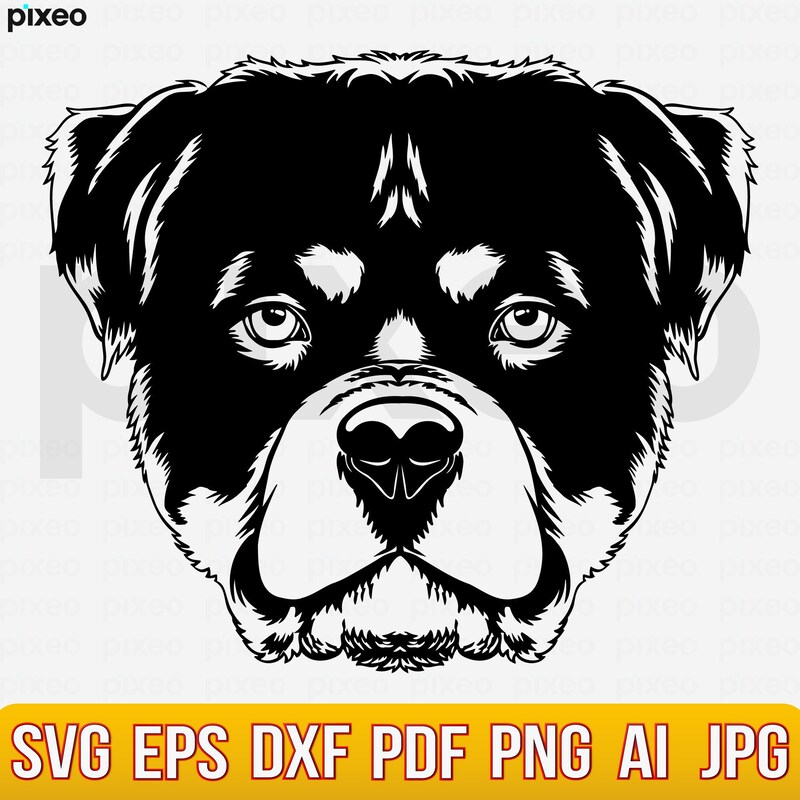 Rottweiler Face Svg - Etsy