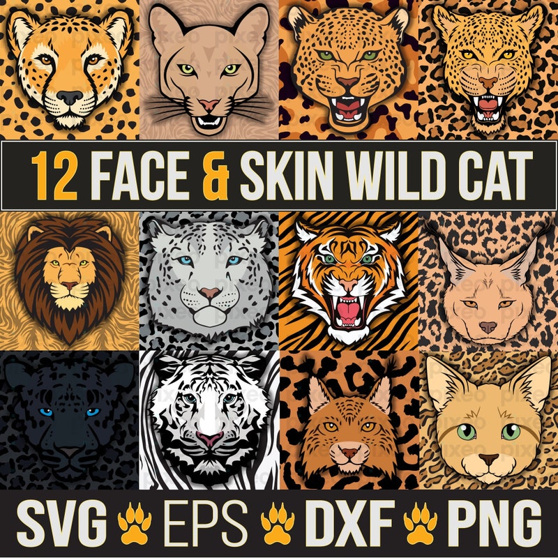 Big Cat - Etsy