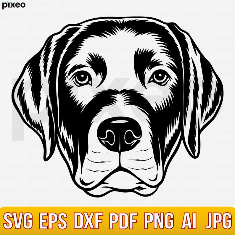Labrador Svg Labrador Retriever Svg Labrador Clipart - Etsy