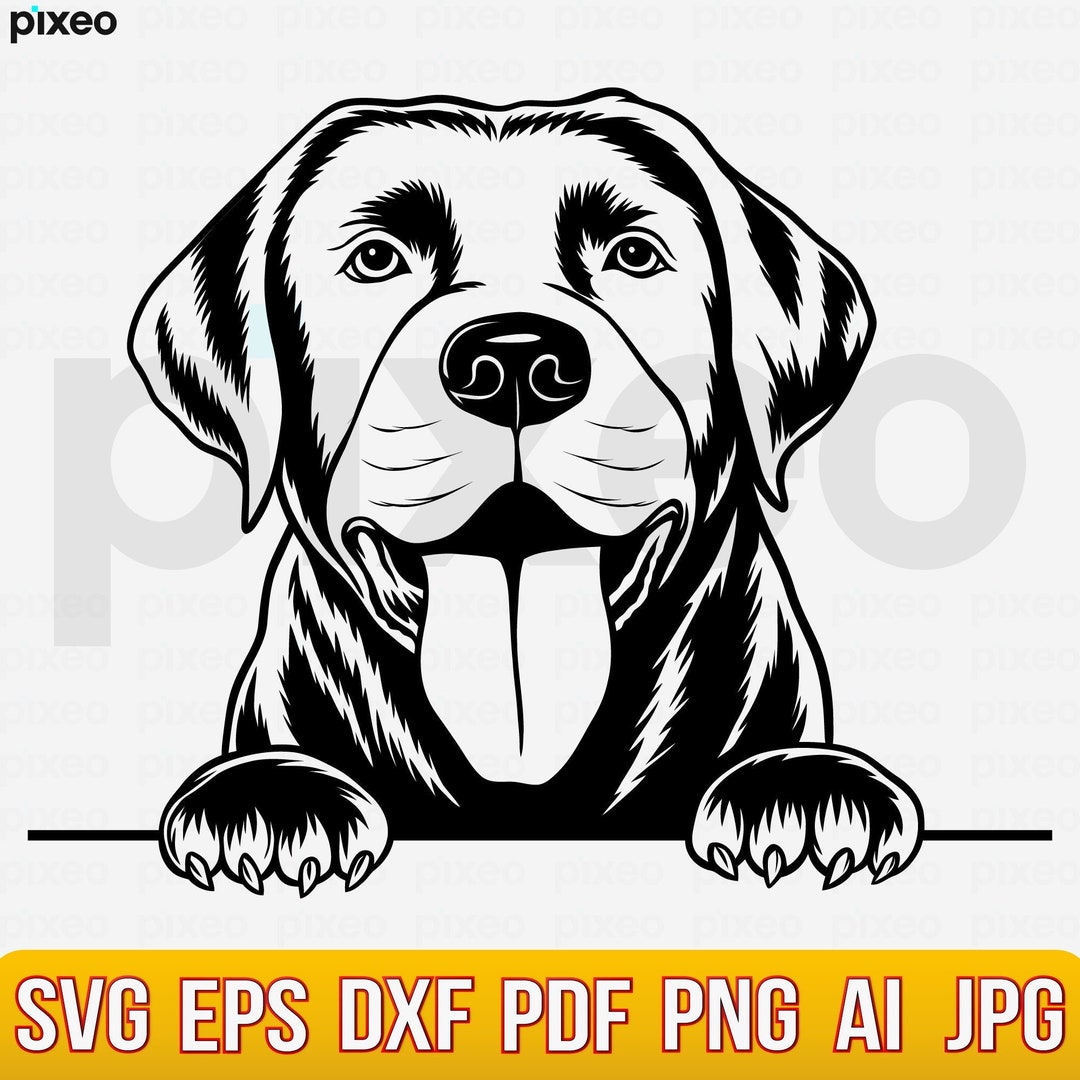 Labrador Svg Labrador Retriever Svg Labrador (Instant Download) - Etsy