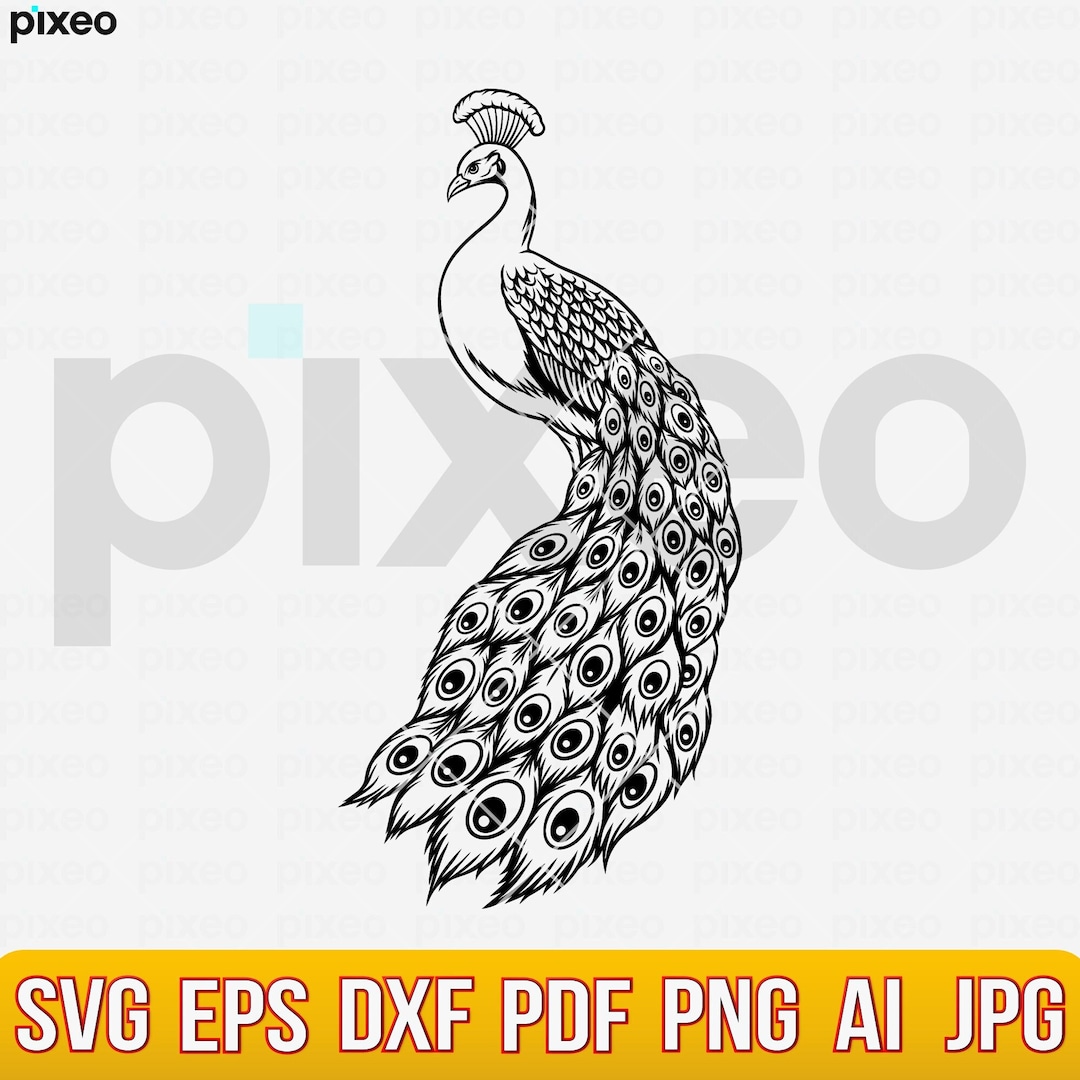 Peacock Svg, Peacock Clipart, Peacock Cut File, Peacock Vector, Peacock ...