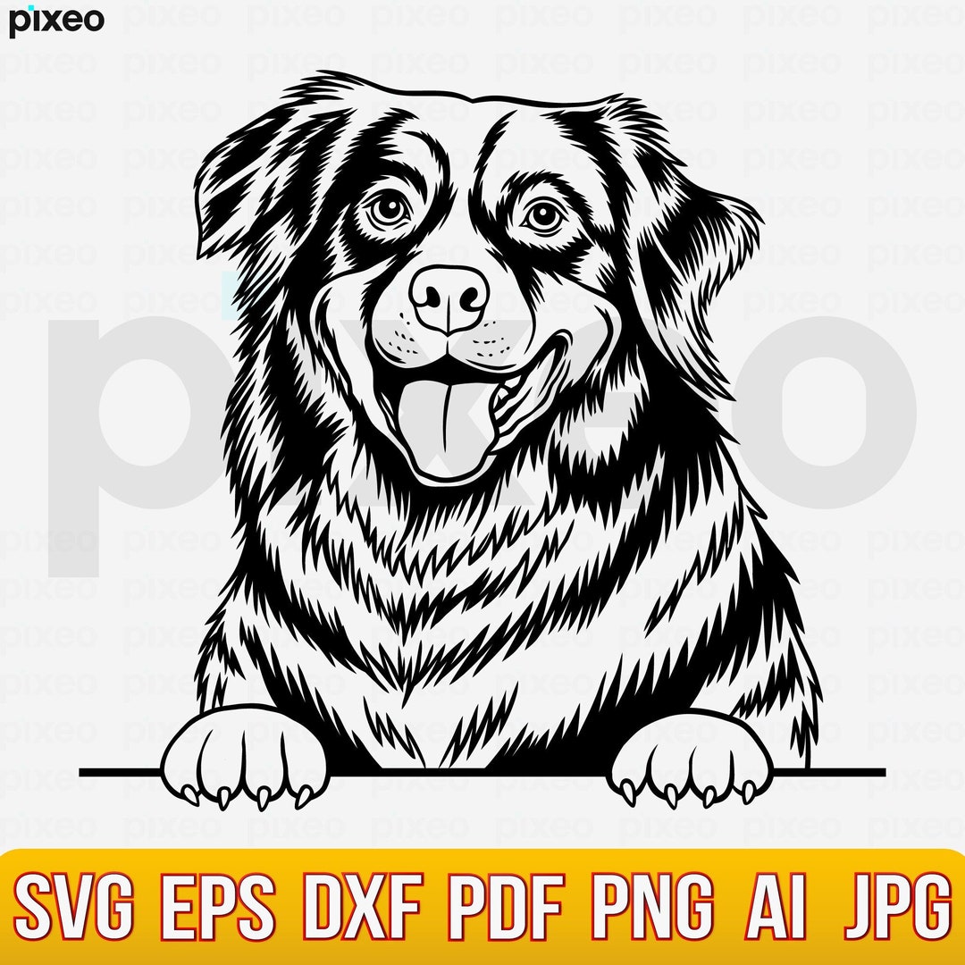 Australian Shepherd Svg, Aussie Svg, Aussie Clipart, Dog Svg, Dog Lover ...