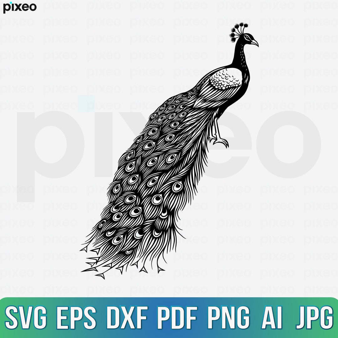 Peacock Svg, Peacock Clipart, Peacock Cut File, Peacock Vector, Peacock ...