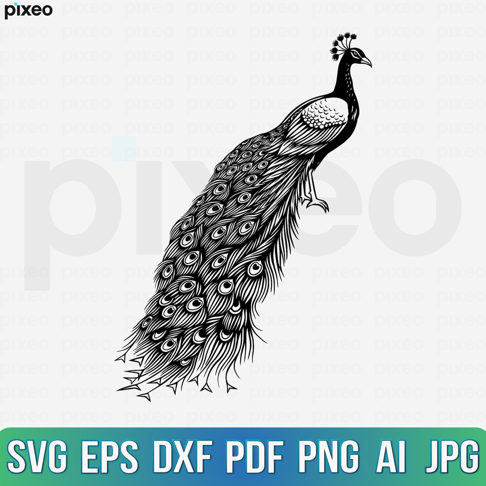 Peacock Svg Peacock Clipart Peacock Cut File Peacock - Etsy