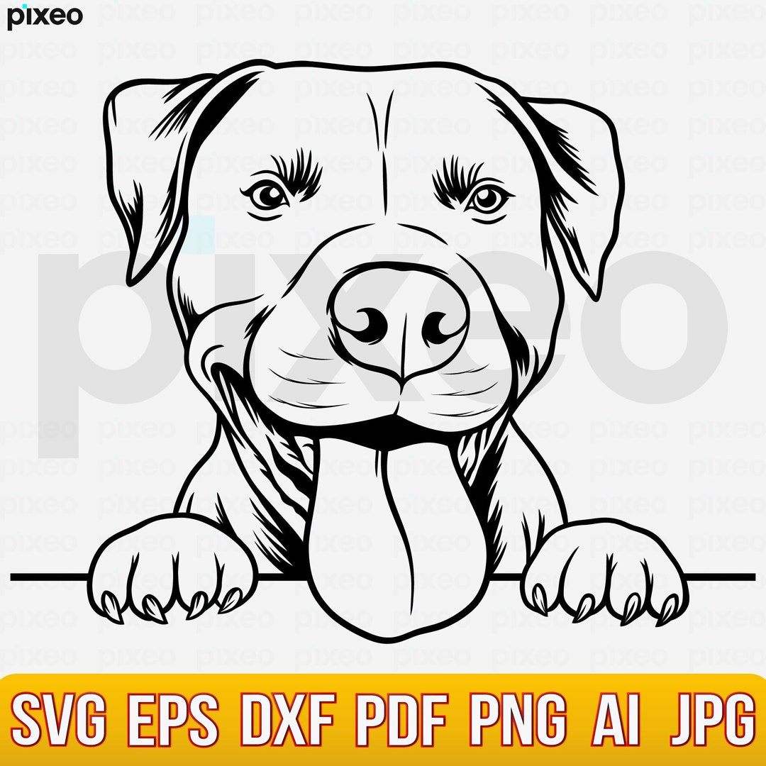 Pitbull Svg, American Pit Bull Svg, Pitbull Clipart, Pitbull Vector ...