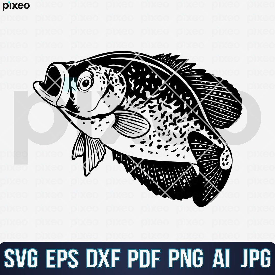 Crappie Fishing Svg Fishing Svg Crappie Fish Svg Crappie - Etsy
