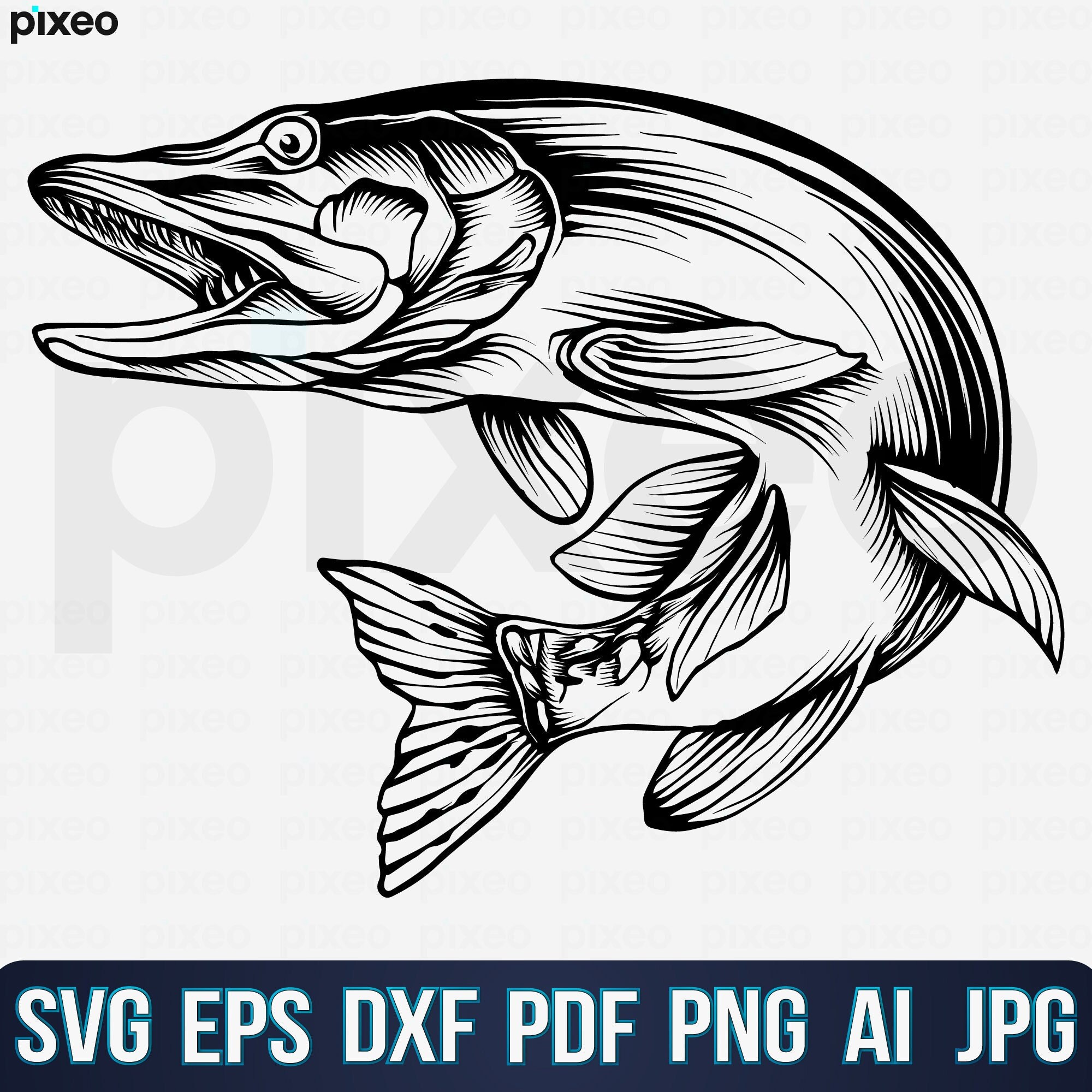 Northern Pike Coloring Page