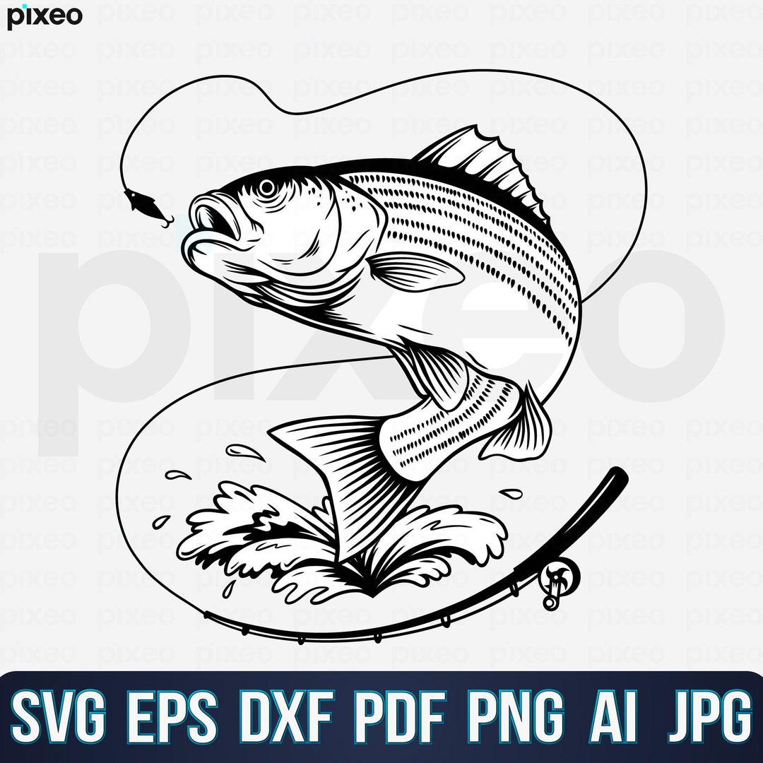 Striped Bass Fishing Svg, Fishing Svg, Striped Bass Fish Svg, Bass ...