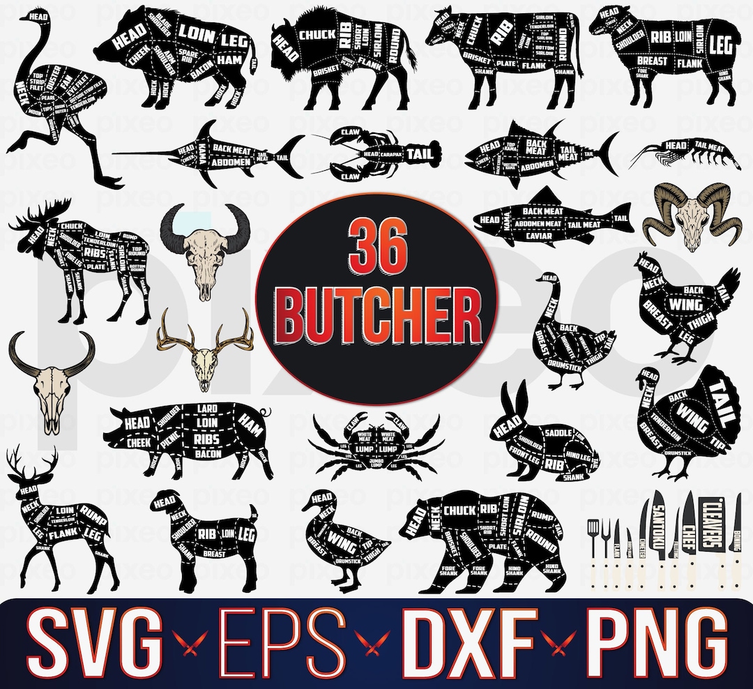 Butcher Cuts SVG Bundle: Beef, Pork, Poultry (digital Download) - Etsy