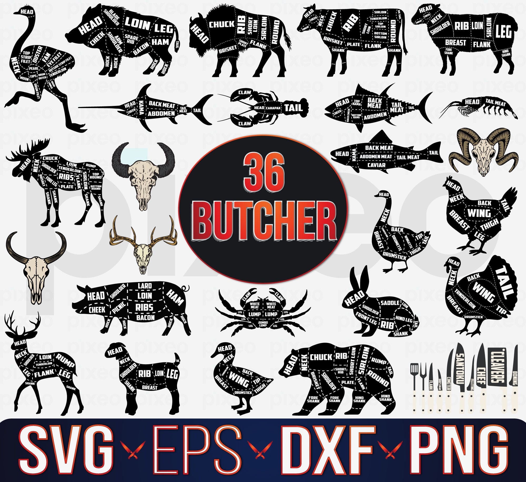 Butcher SVG Bundle Butcher's Guide SVG Cuts of Meat SVG | Etsy
