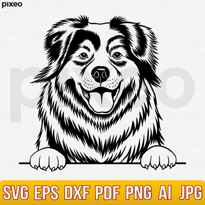 Australian Shepherd Svg Aussie Svg Aussie Clipart Dog Svg - Etsy Canada