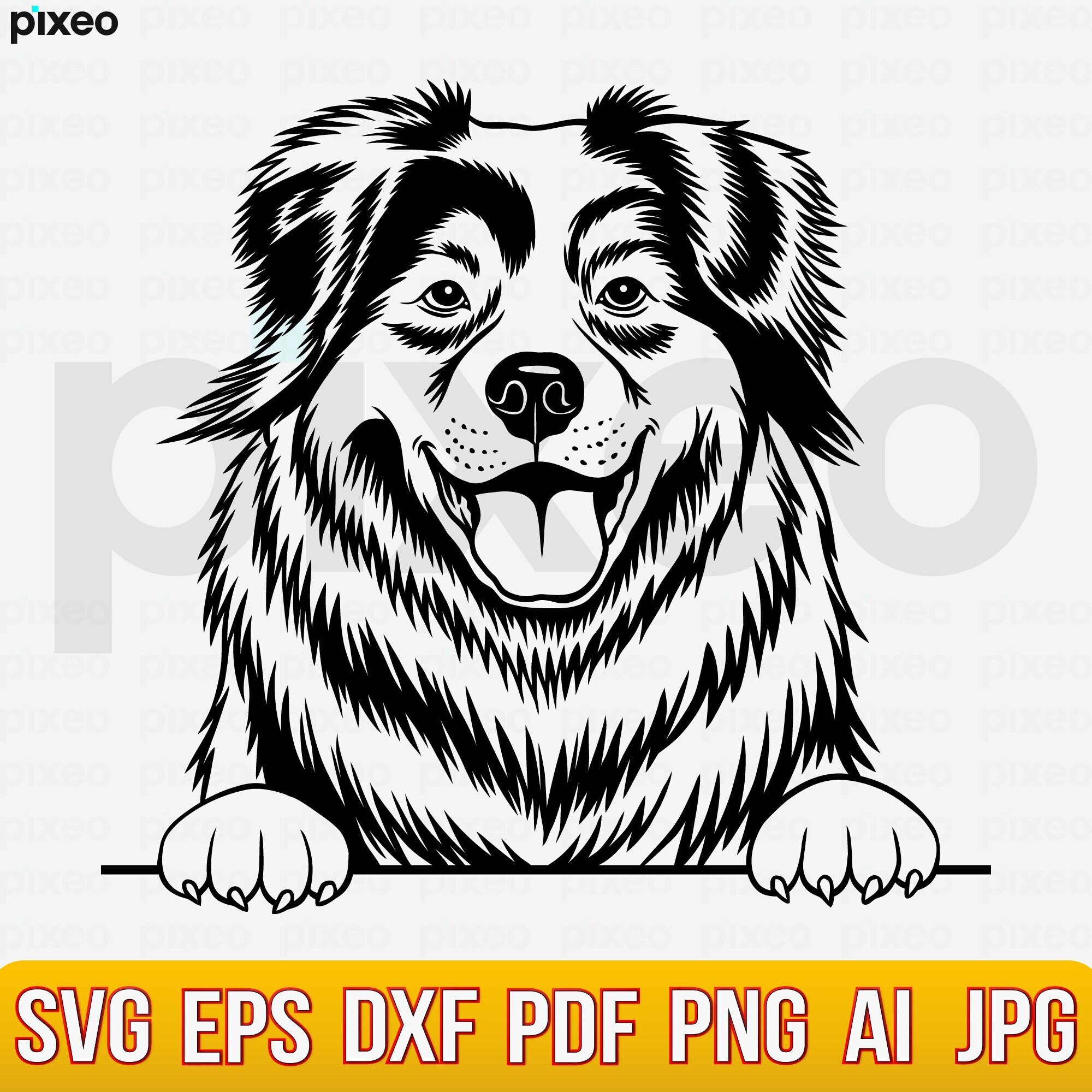 Australian Shepherd Svg Aussie Svg Aussie Clipart Dog Svg - Etsy Canada