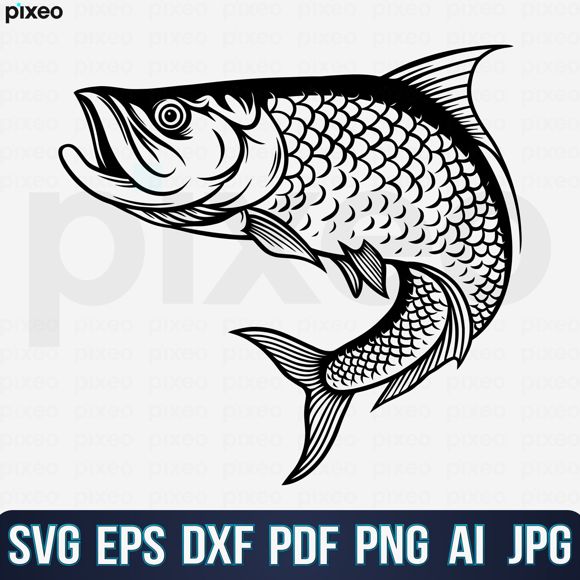 Tarpon Fish Clipart Backgrounds