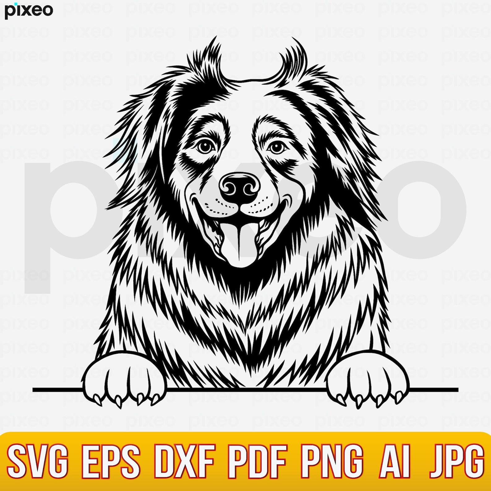 Australian Shepherd Svg Aussie Svg Aussie Clipart Dog Svg - Etsy