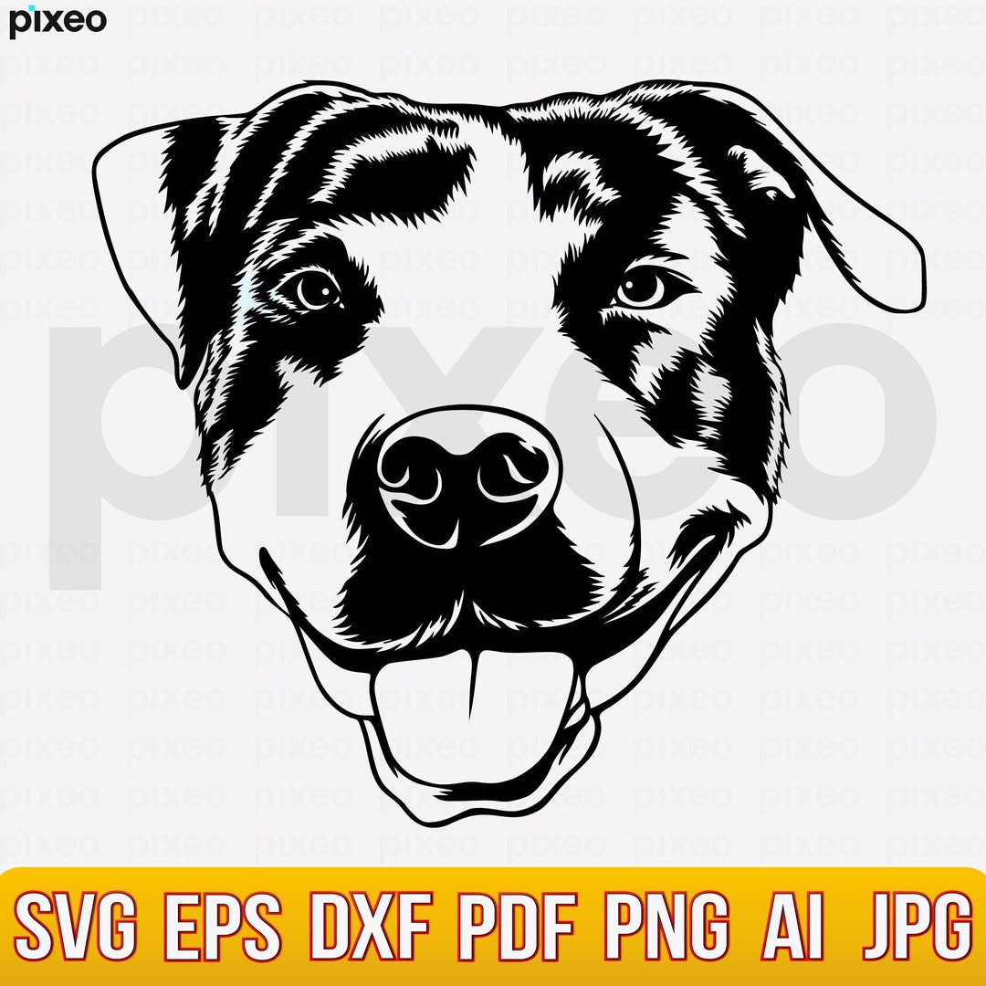 Pitbull Svg, American Pit Bull Svg, Pitbull Clipart, Pitbull Vector ...