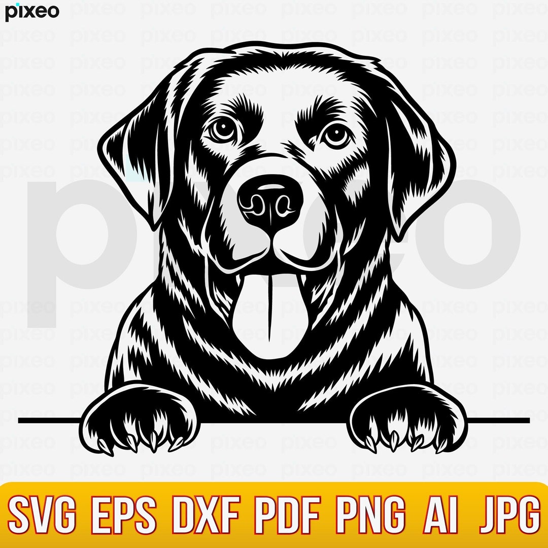 Labrador Svg, Labrador Retriever Svg, Labrador Clipart, Labrador Vector ...