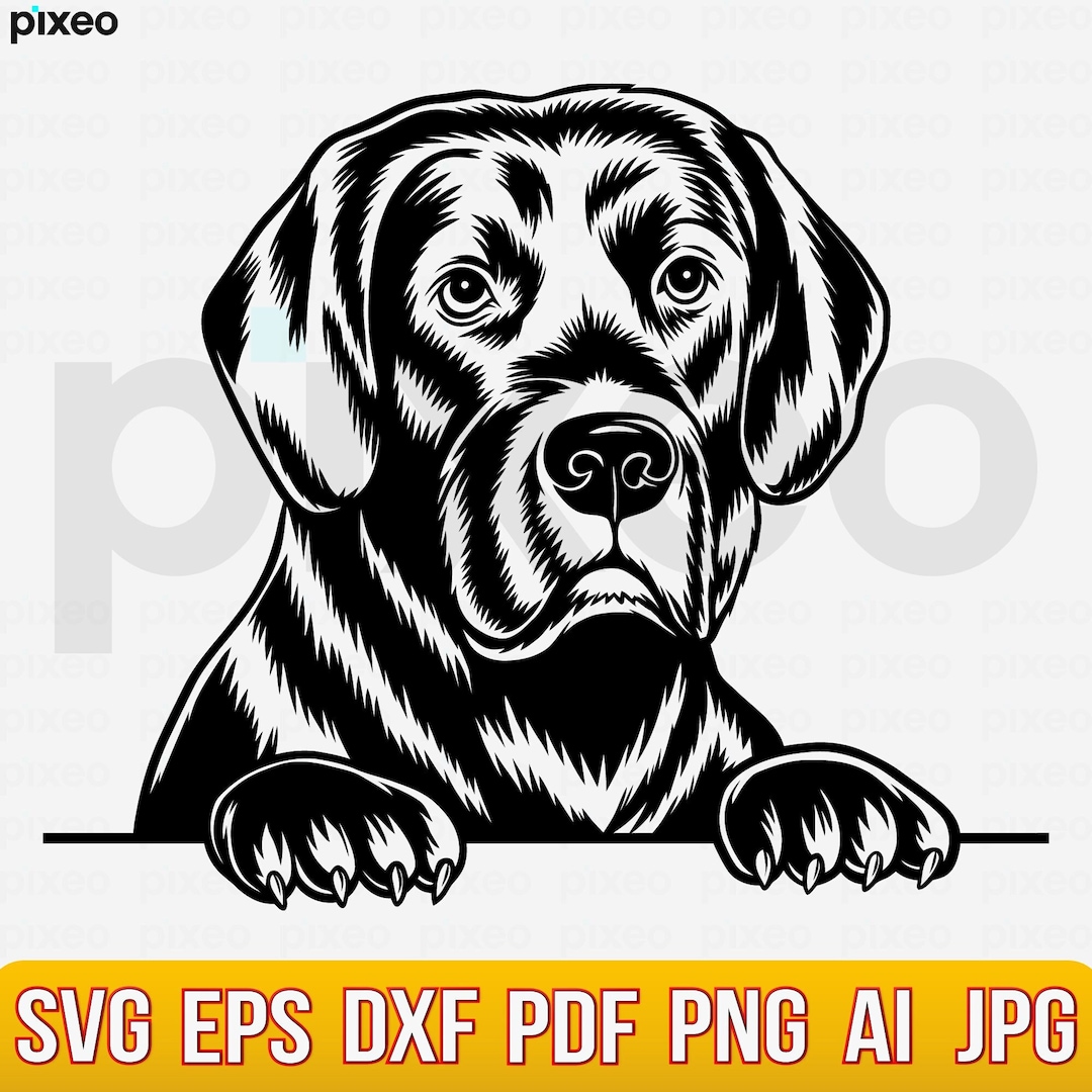 Labrador Svg, Labrador Retriever Svg, Labrador Clipart, Labrador Vector ...