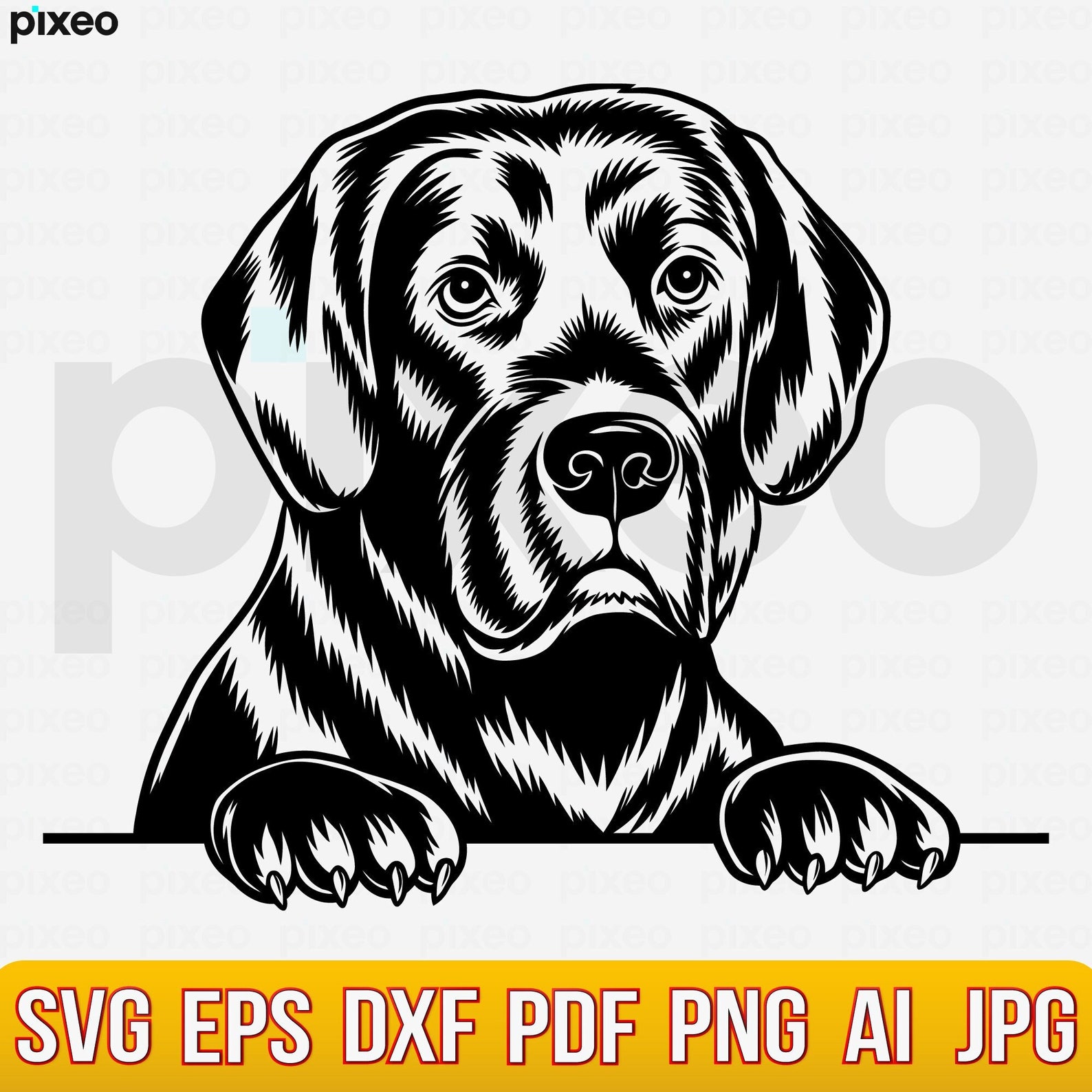 Labrador Svg Labrador Retriever Svg Labrador Clipart - Etsy