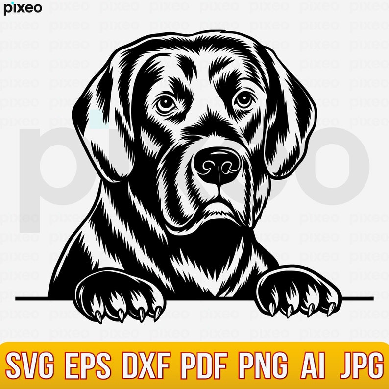 Labrador Svg Labrador Retriever Svg Labrador Clipart - Etsy